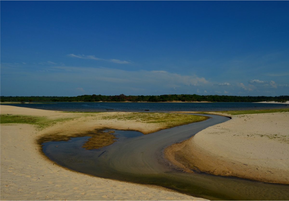 Celebrate the holidays in the Amazon in Brazil and in Rio de Janeiro ...