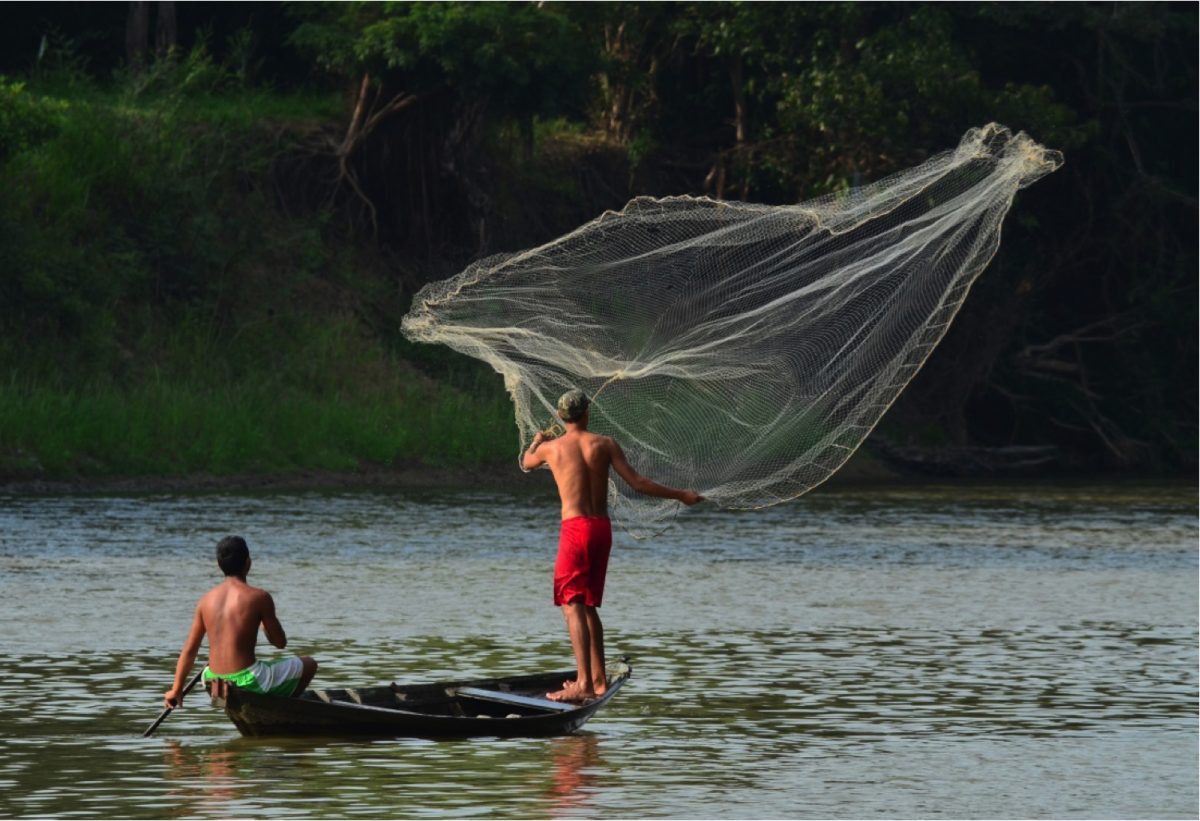 Adventure in the Amazon in Brazil (5 days) - Terraficionados